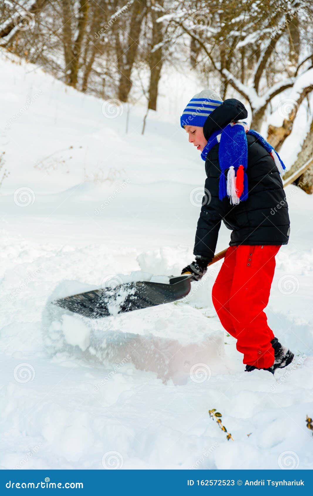 Cleaning Snow in Winter, the Boy Shovels Snow Stock Image - Image of ...