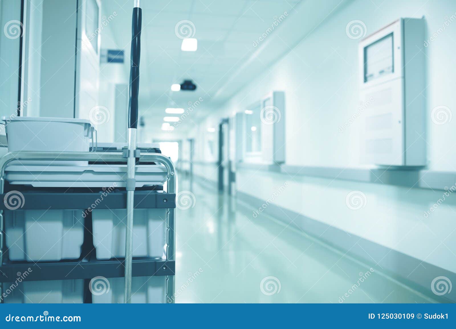 Cleaning Staff Cart with Disinfectant Solution Containers in the Stock ...