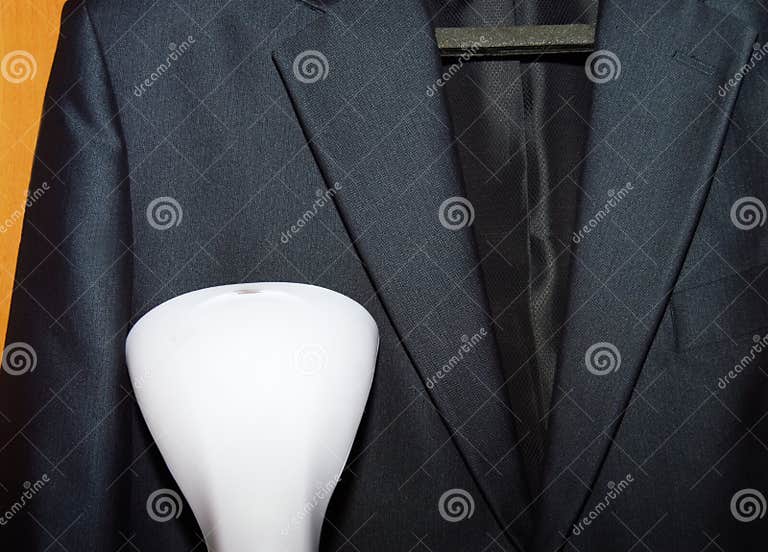 Cleaning the steam suit stock photo. Image of costume - 64613062