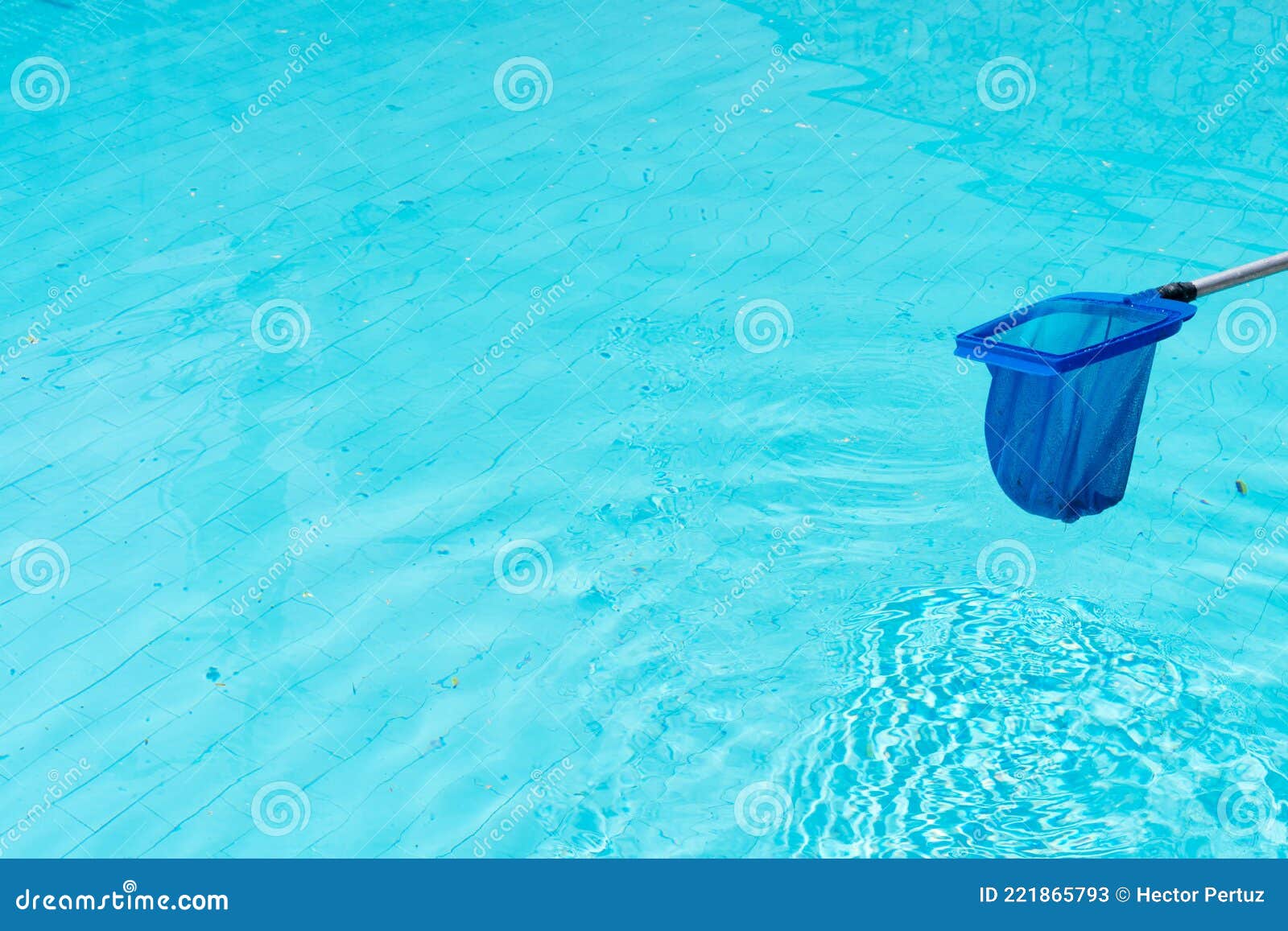 Cleaning of Swimming Pool with a Net, with Copy Space in the Water ...