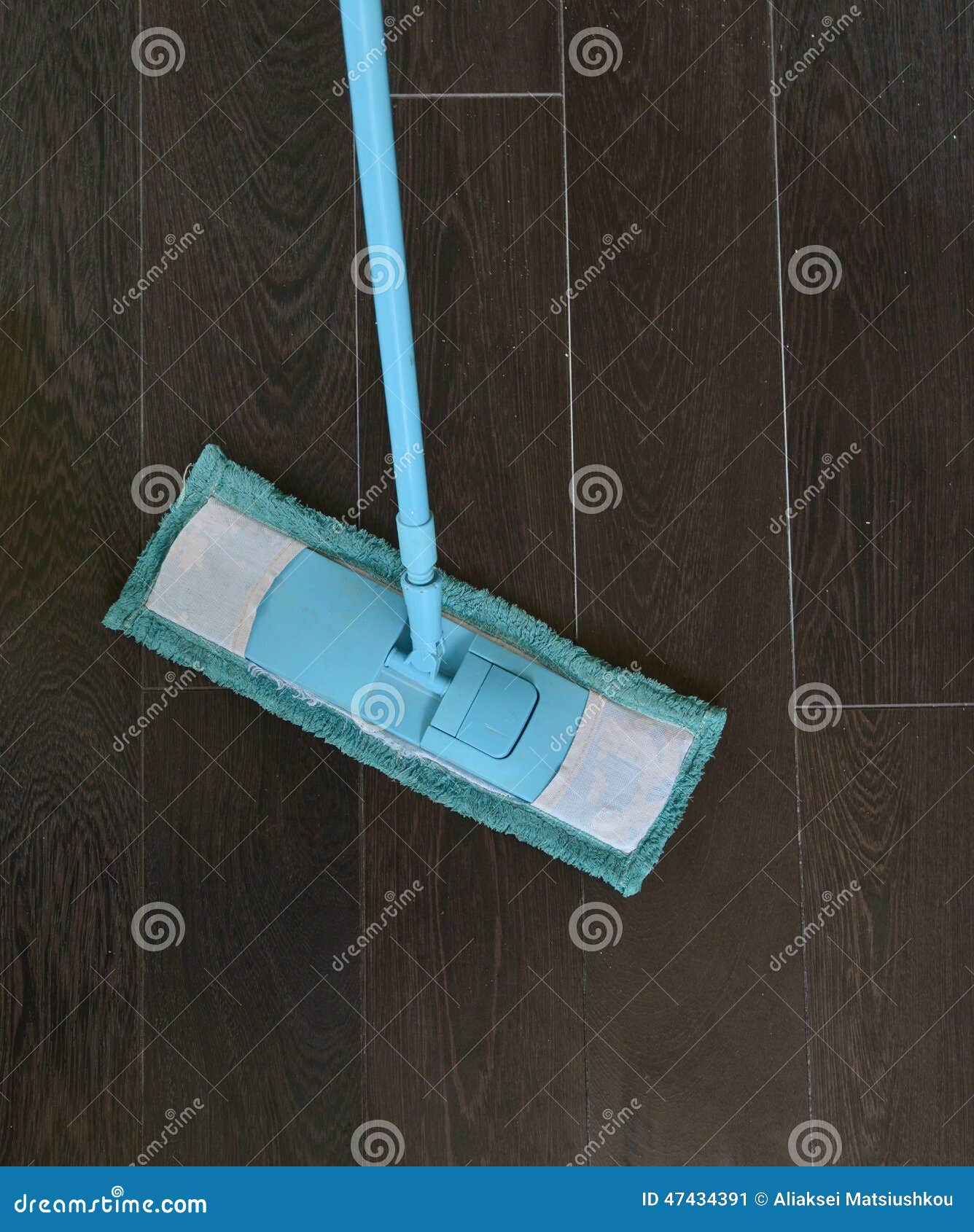 Cleaning the Tiled Floor with Blue Mop Stock Image - Image of interior ...