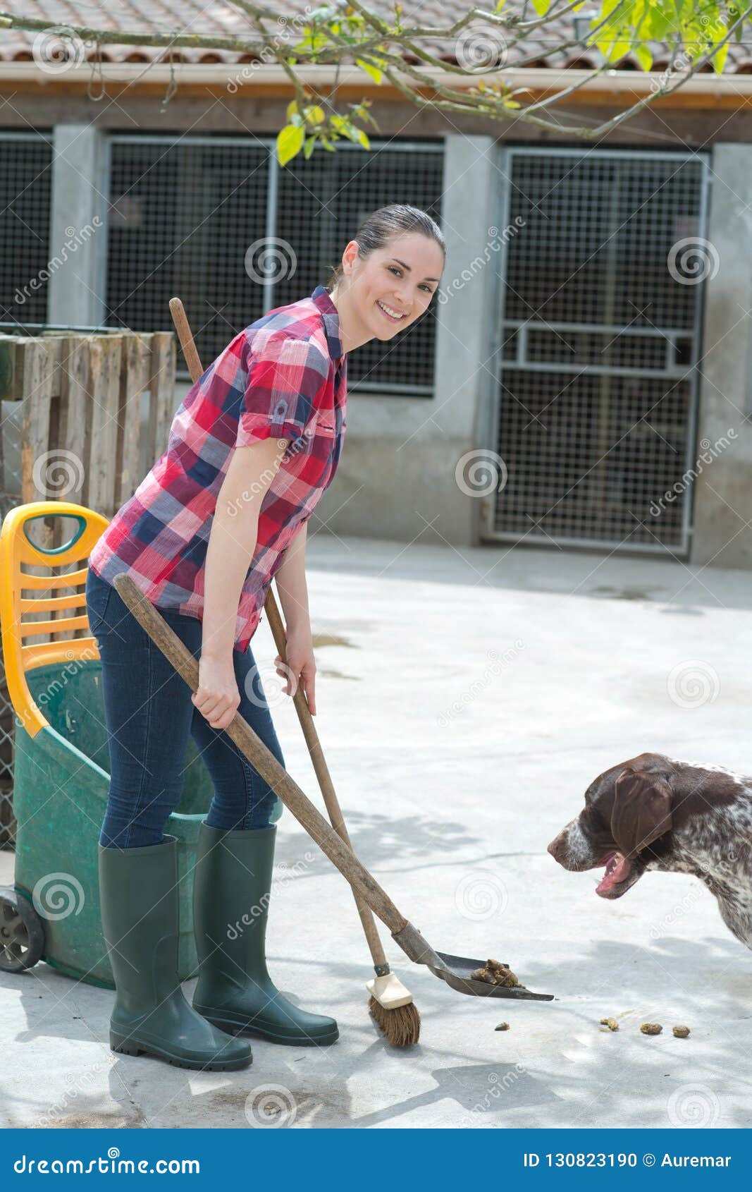 Cleaning Time for Kennel Assistant Stock Photo - Image of homeless ...