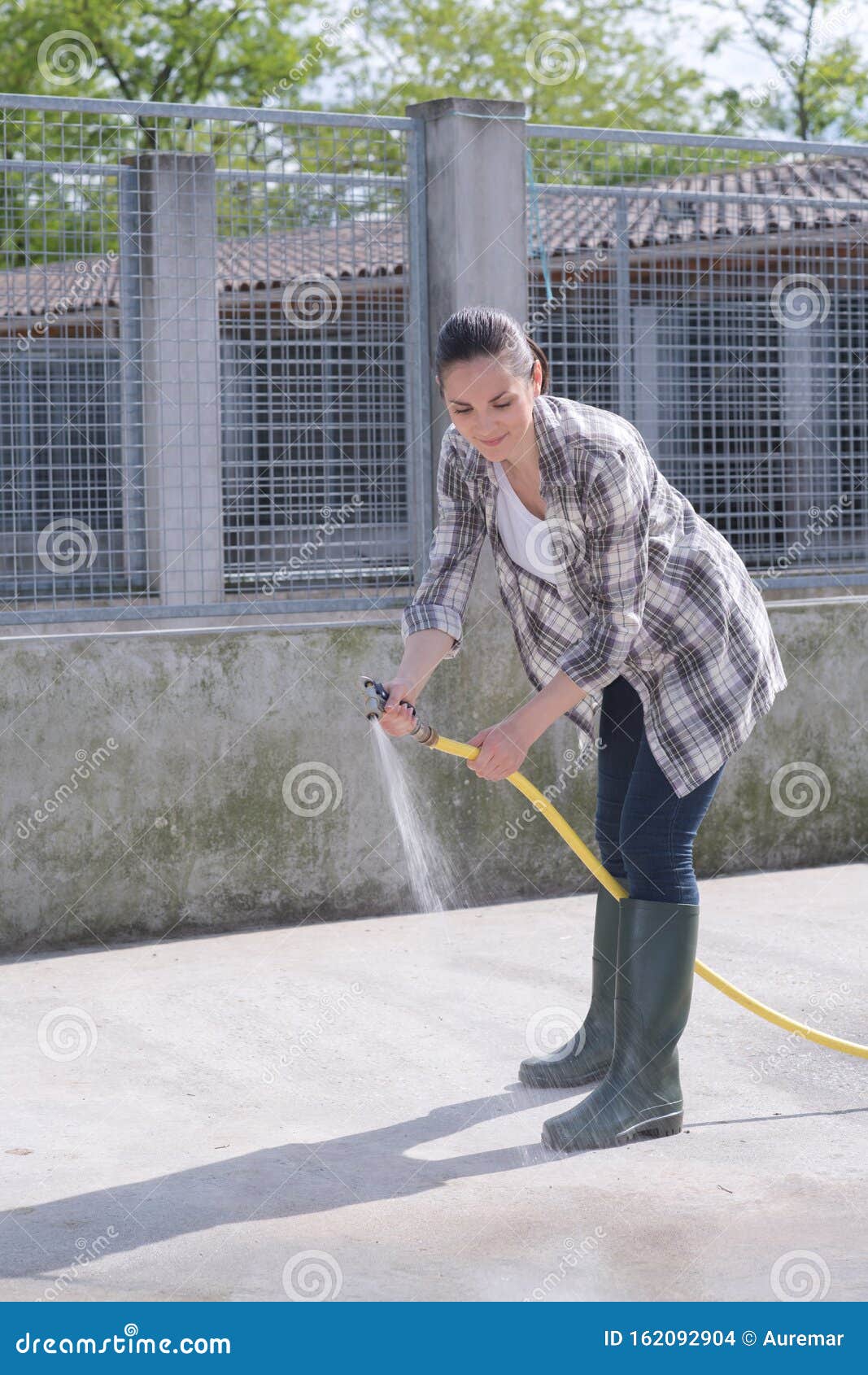 Cleaning Time for Kennel Assistant Stock Photo - Image of animal ...