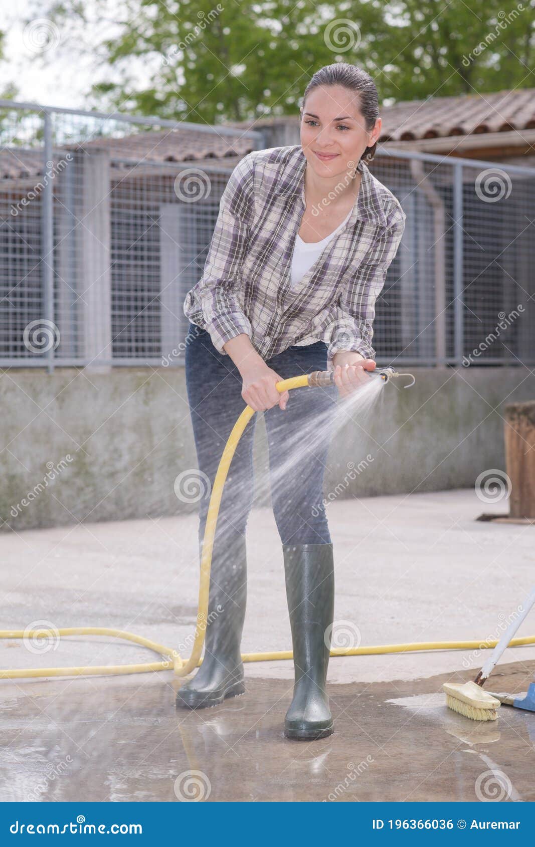 Cleaning Time for Kennel Assistant Stock Photo - Image of transplant ...