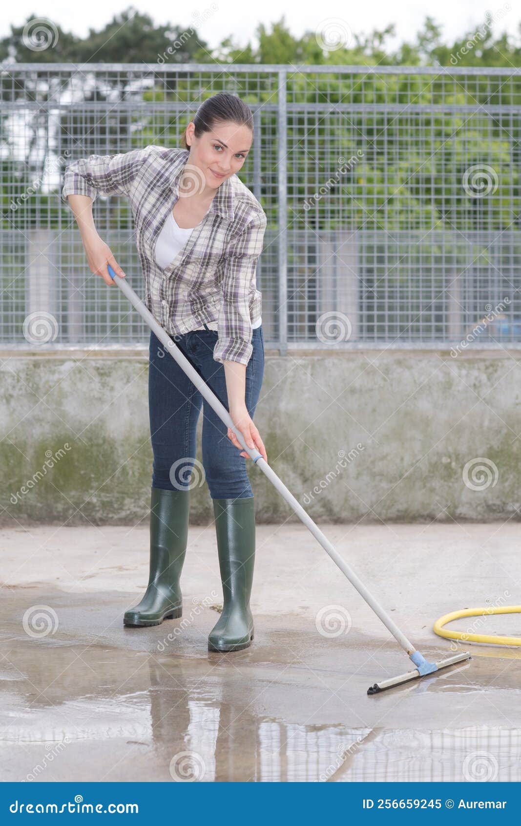 Cleaning Time for Kennel Assistant Stock Image - Image of cleaning ...