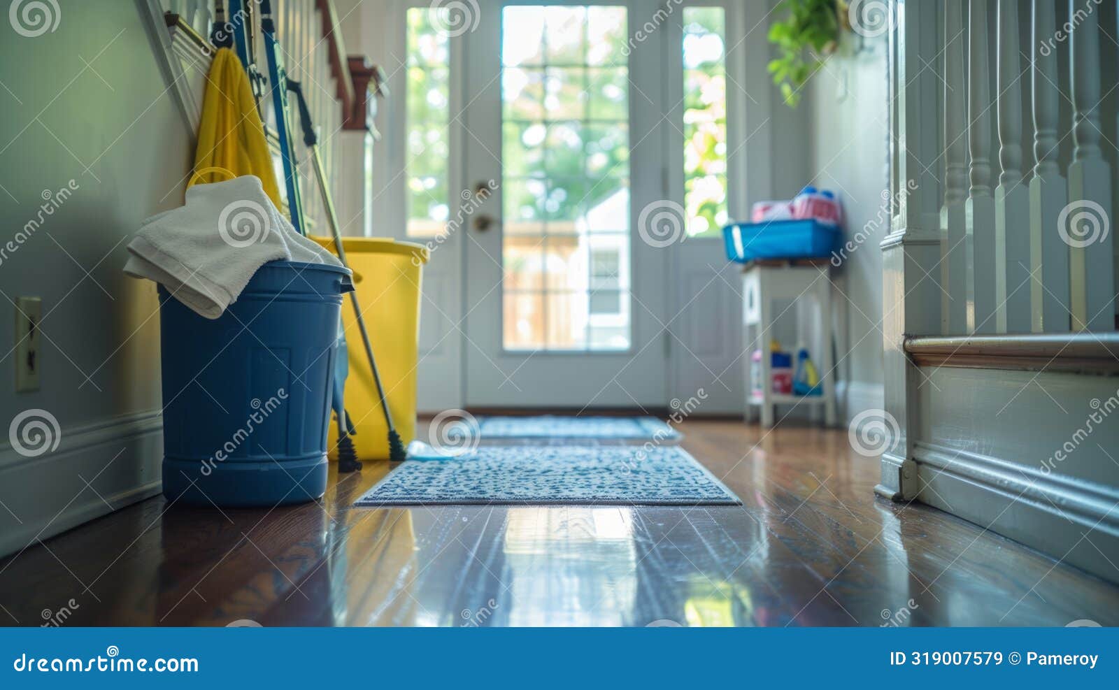 Cleaning Tools Positioned in a Neatly Maintained House Entry Stock ...