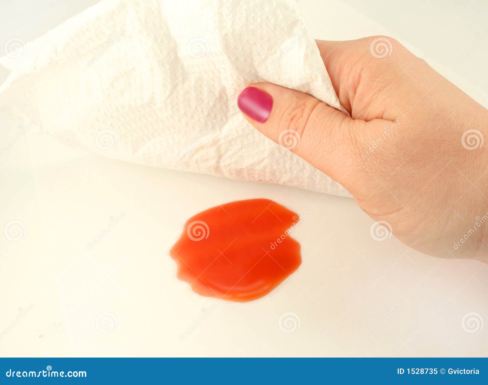 Cleaning up stock image. Image of germs, housekeeper, housewife - 1528735