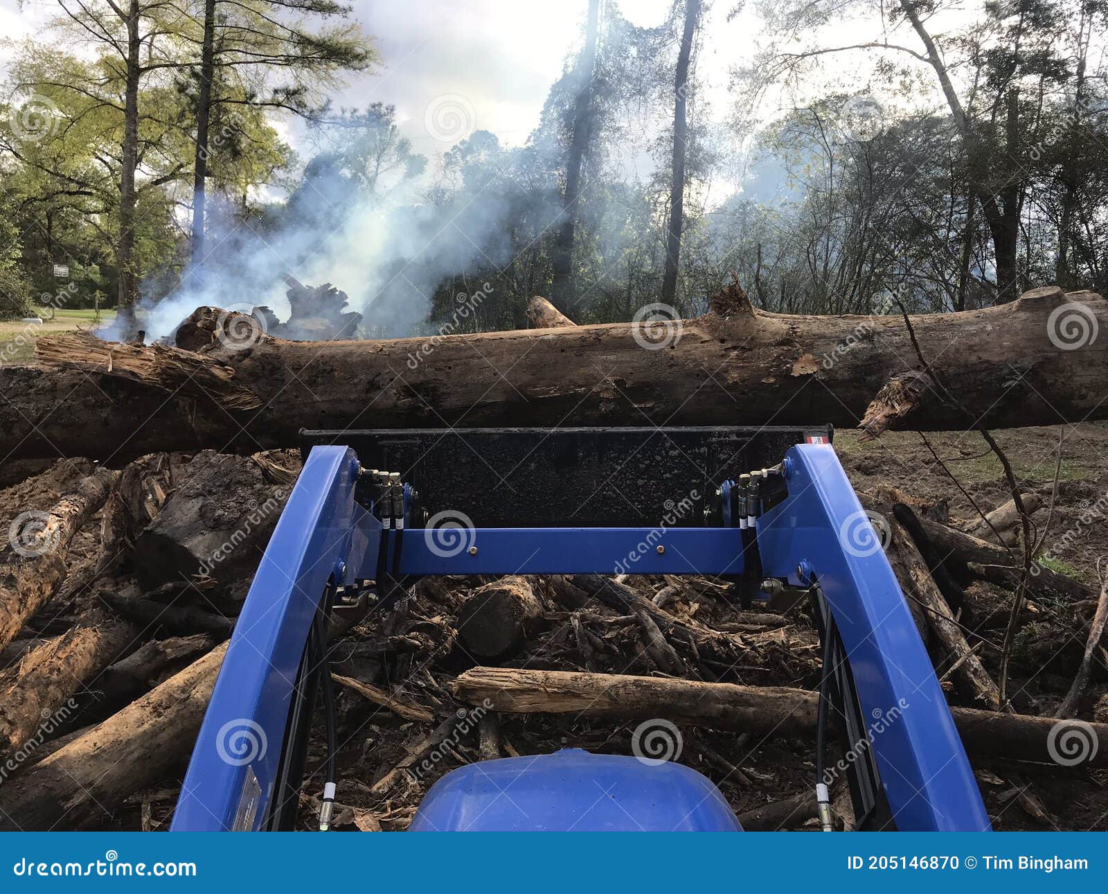 Cleaning Up Dead Trees with Tractor Stock Photo - Image of clearing ...