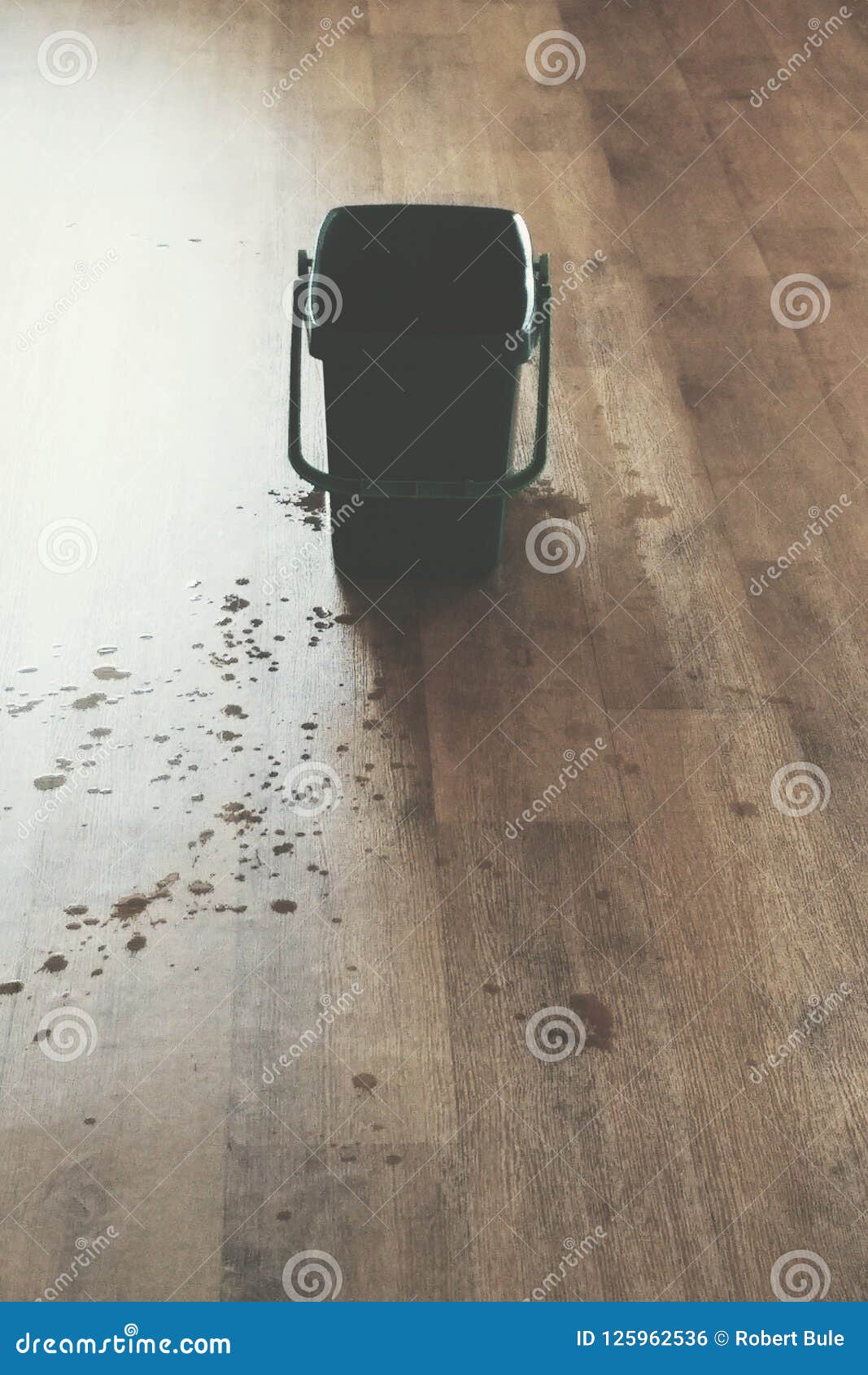 Cleaning up stock photo. Image of cleaning, clean, mess - 125962536
