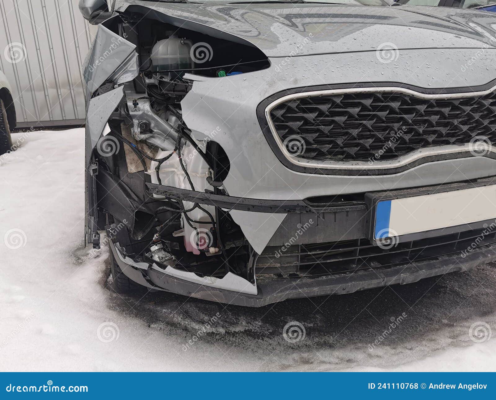 Cleaning, Washing with a Special Composition of the Engine Compartment ...