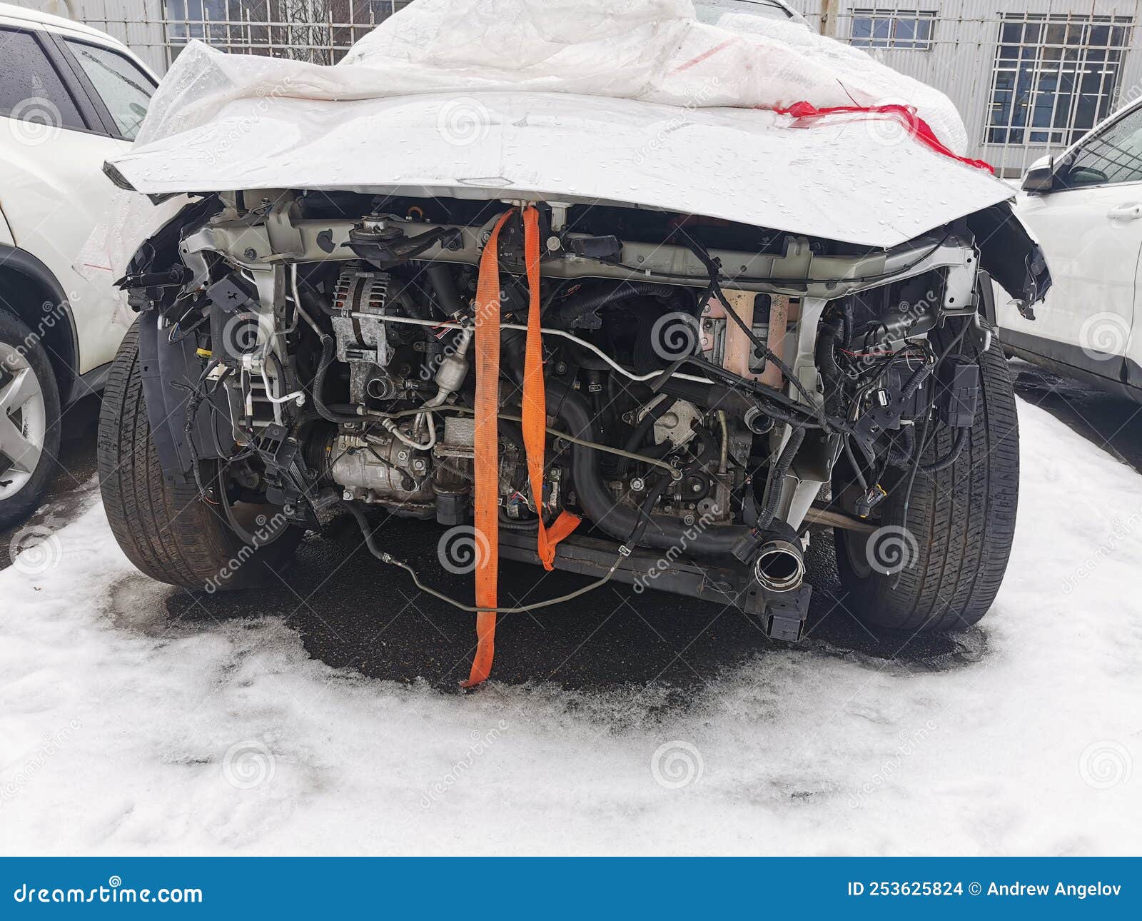 Cleaning, Washing with a Special Composition of the Engine Compartment ...
