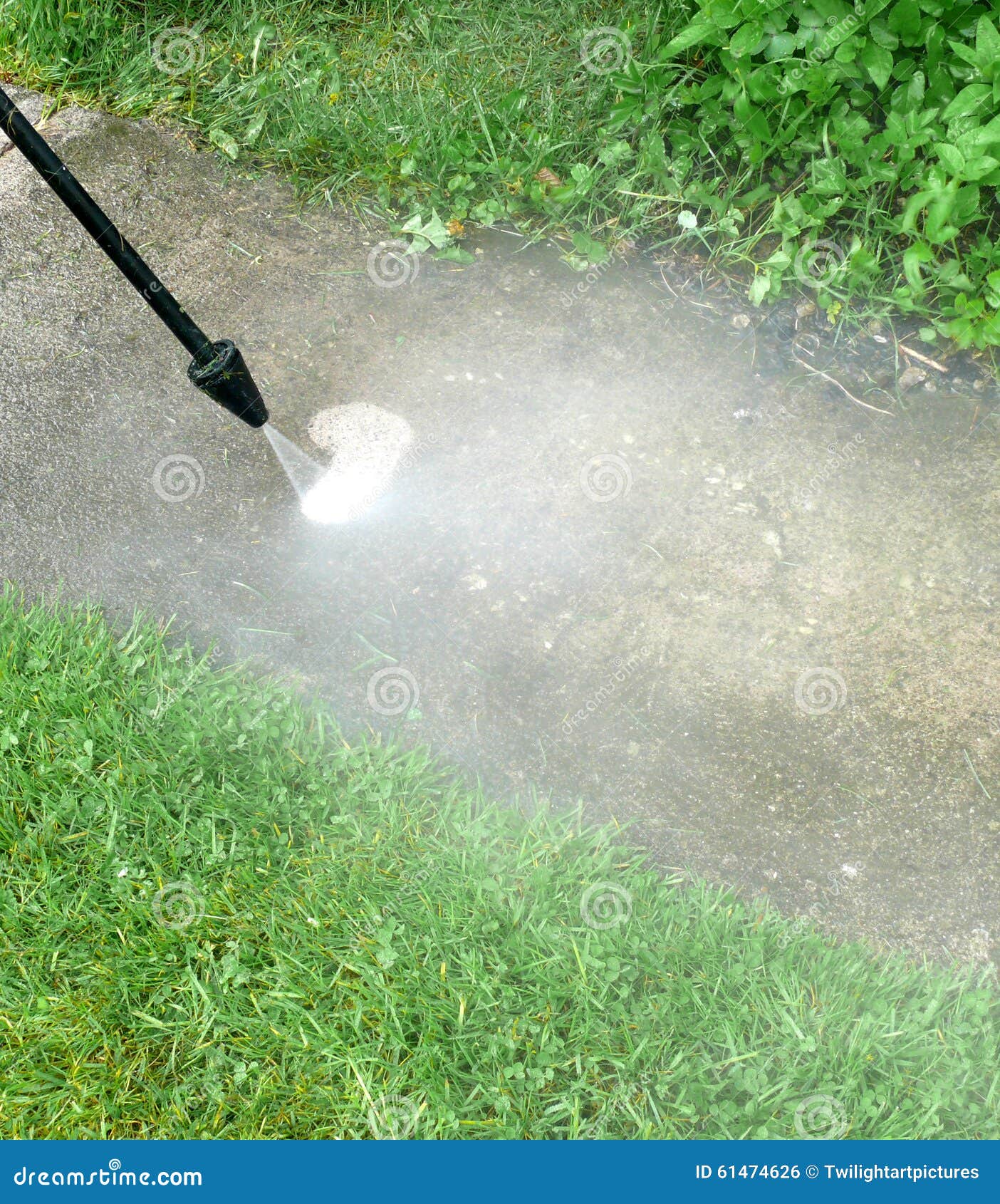 Cleaning with water stock photo. Image of pasture, green - 61474626
