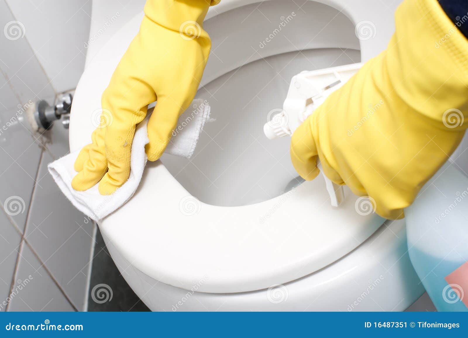 Cleaning a WC stock image. Image of close, service, hands - 16487351