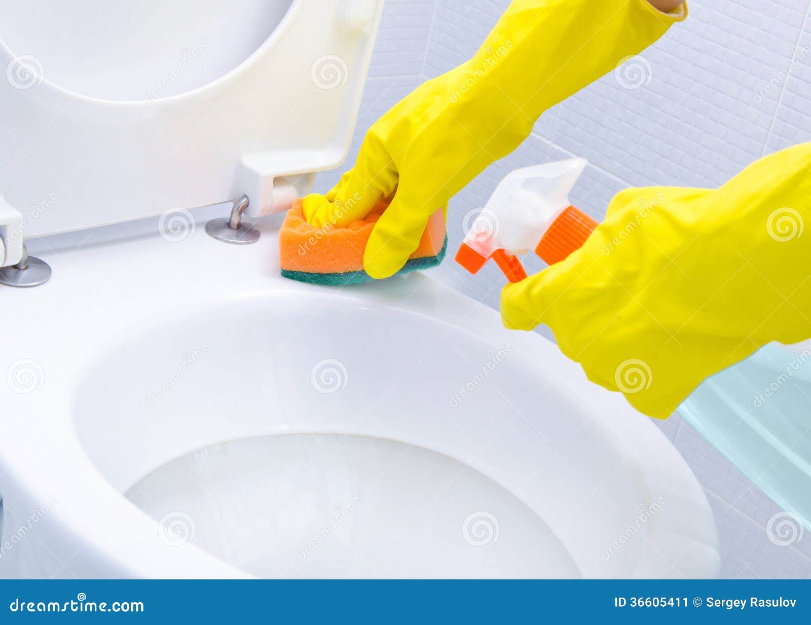 Cleaning a WC stock image. Image of close, clean, bathroom - 36605411