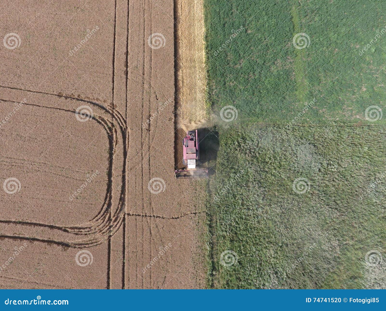 Cleaning wheat harvester stock photo. Image of culture - 74741520