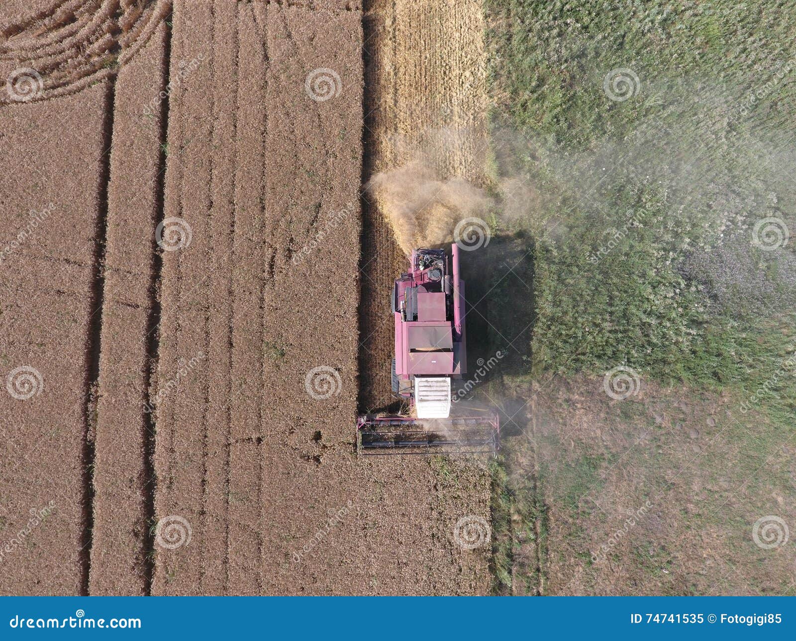 Cleaning wheat harvester stock image. Image of grinding - 74741535