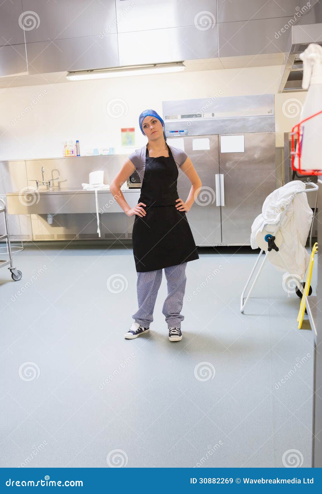 Cleaning Woman Standing in Kitchen Stock Image - Image of apron ...
