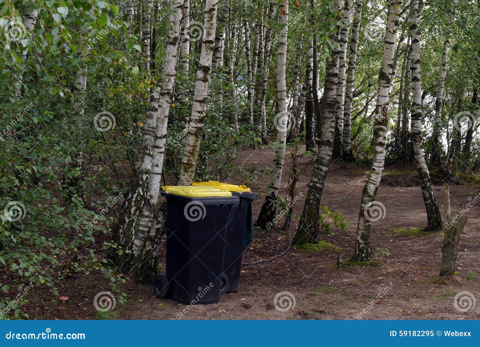 Cleanliness in the forest stock image. Image of cleanliness - 59182295