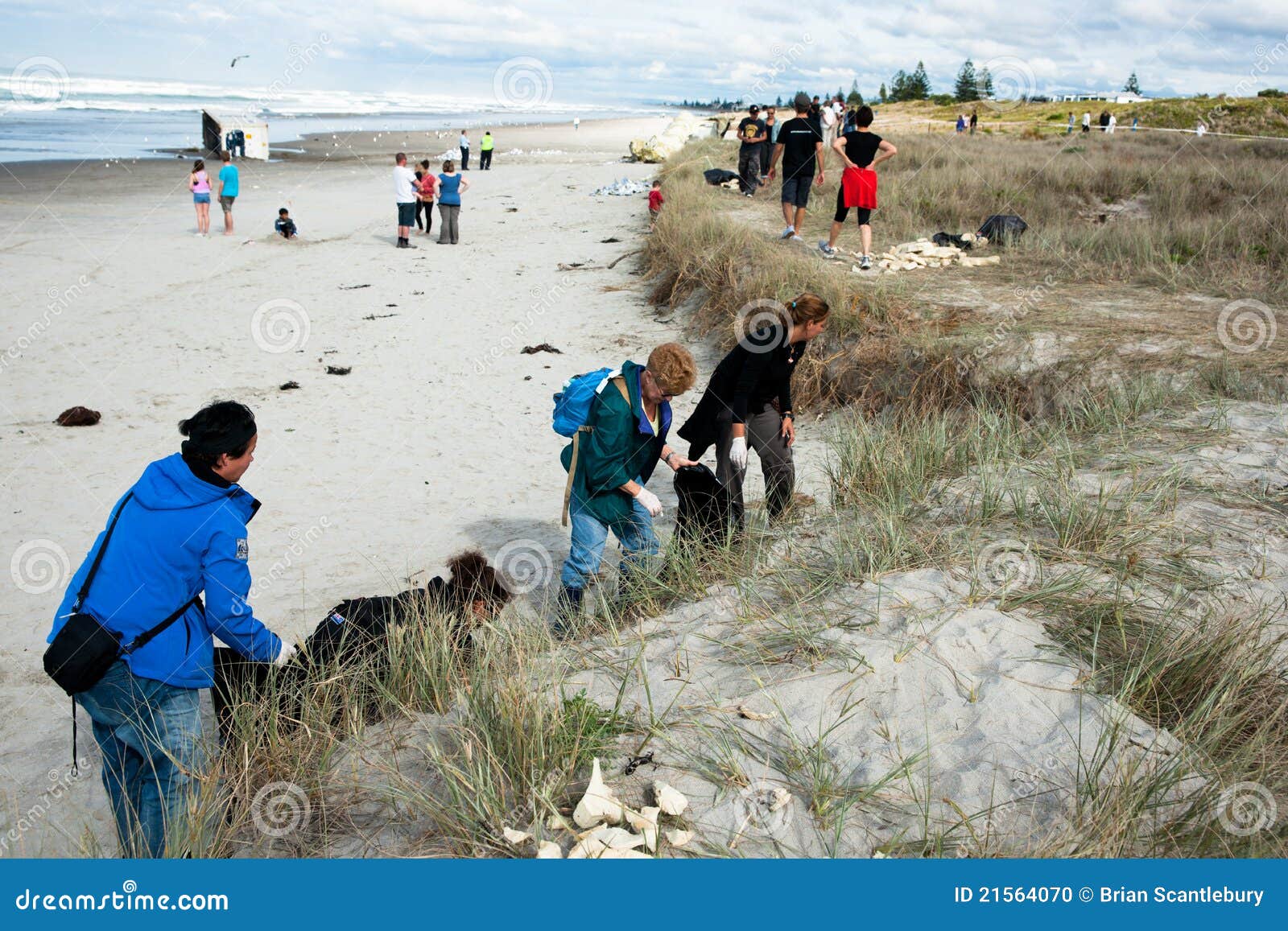 Cleanup after Environmental Disaster Editorial Image - Image of toxic ...