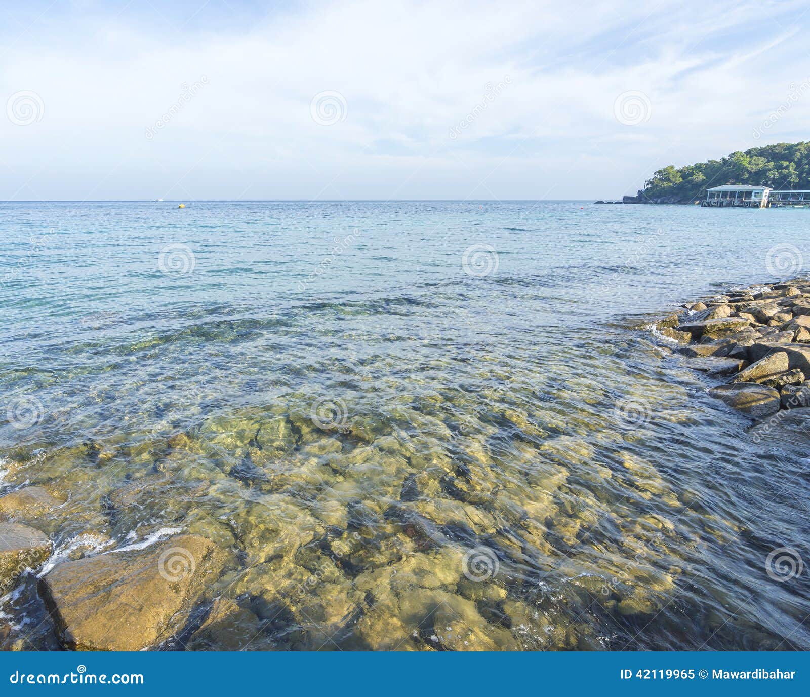 Clear beach stock image. Image of forest, coast, heaven - 42119965