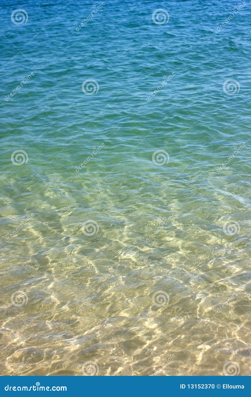Clear Blue Green Sea stock photo. Image of sand, ocean - 13152370
