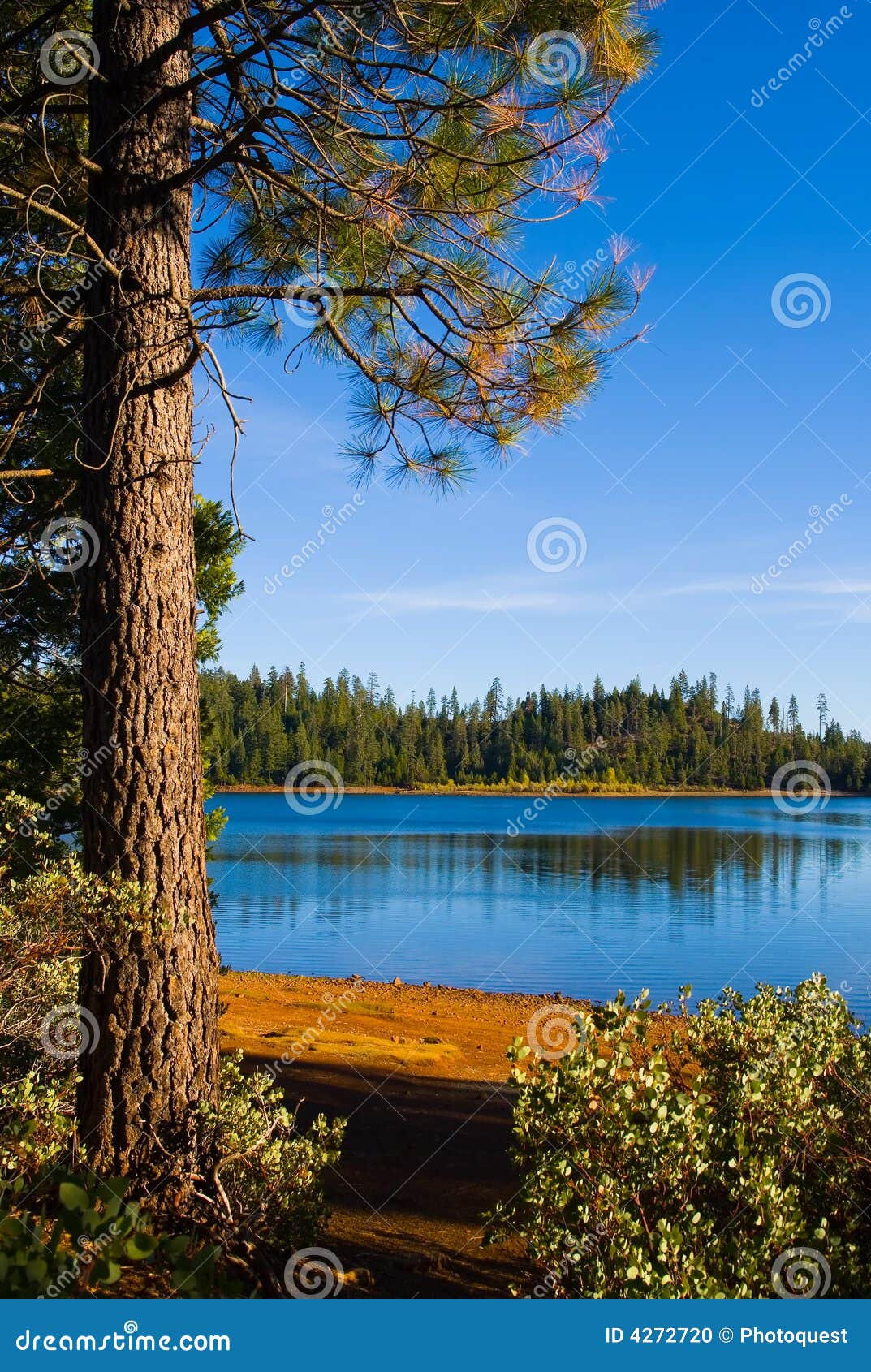 Clear blue lake stock photo. Image of cozy, mountain, cloudy - 4272720