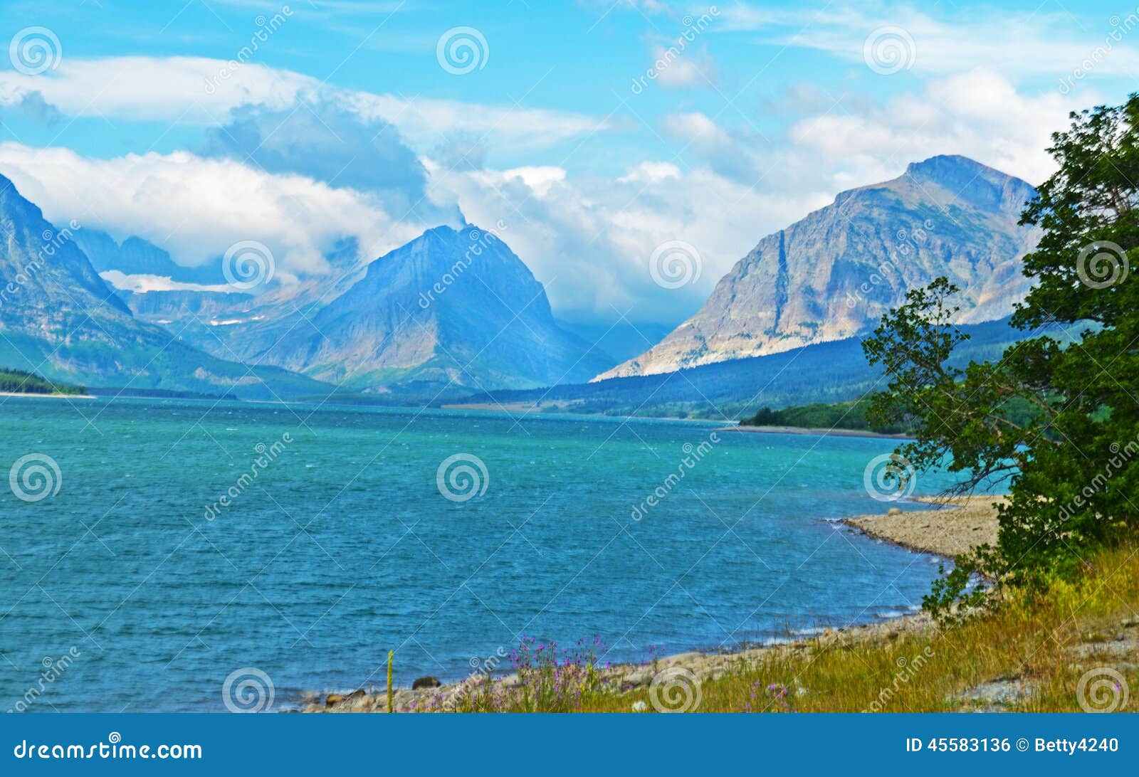 Clear Blue Lake in Glacier National Park. Stock Photo - Image of ...