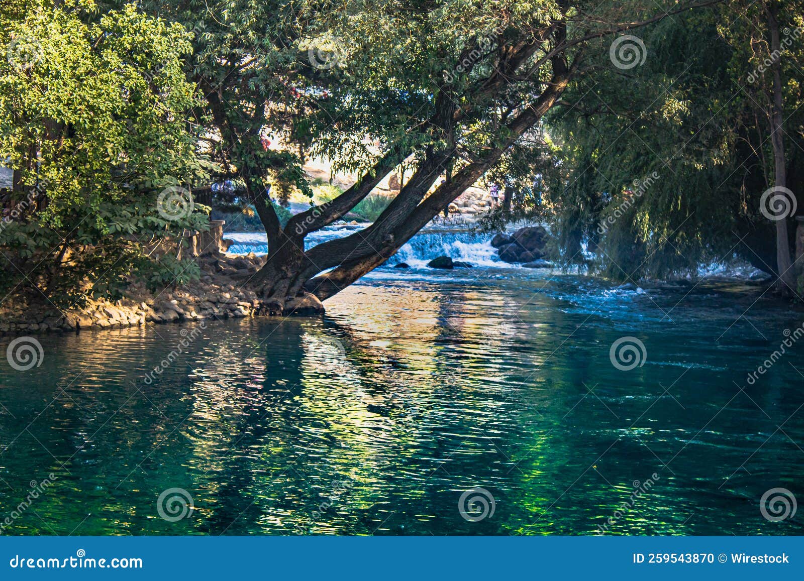Clear Blue River with Big Tree on the Side Stock Photo - Image of clear ...