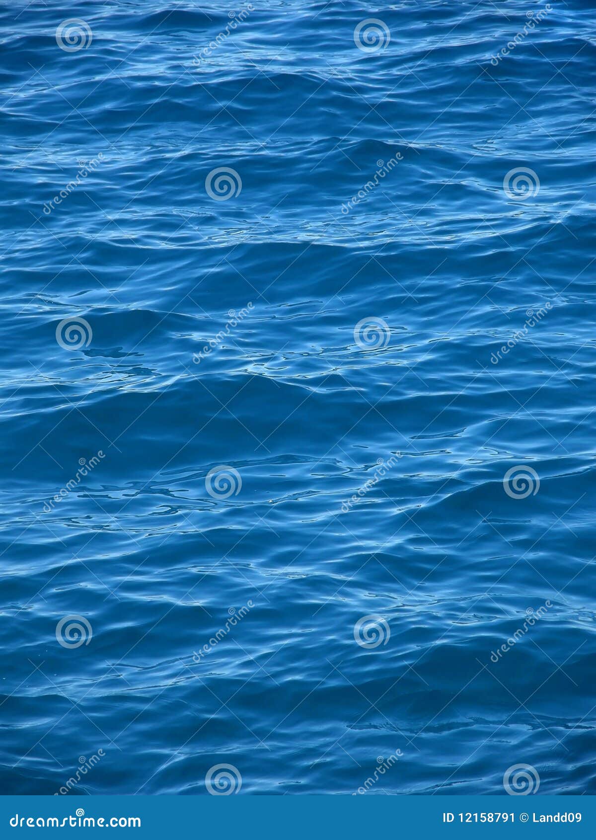 Clear blue sea stock image. Image of holiday, lake, aquatic - 12158791