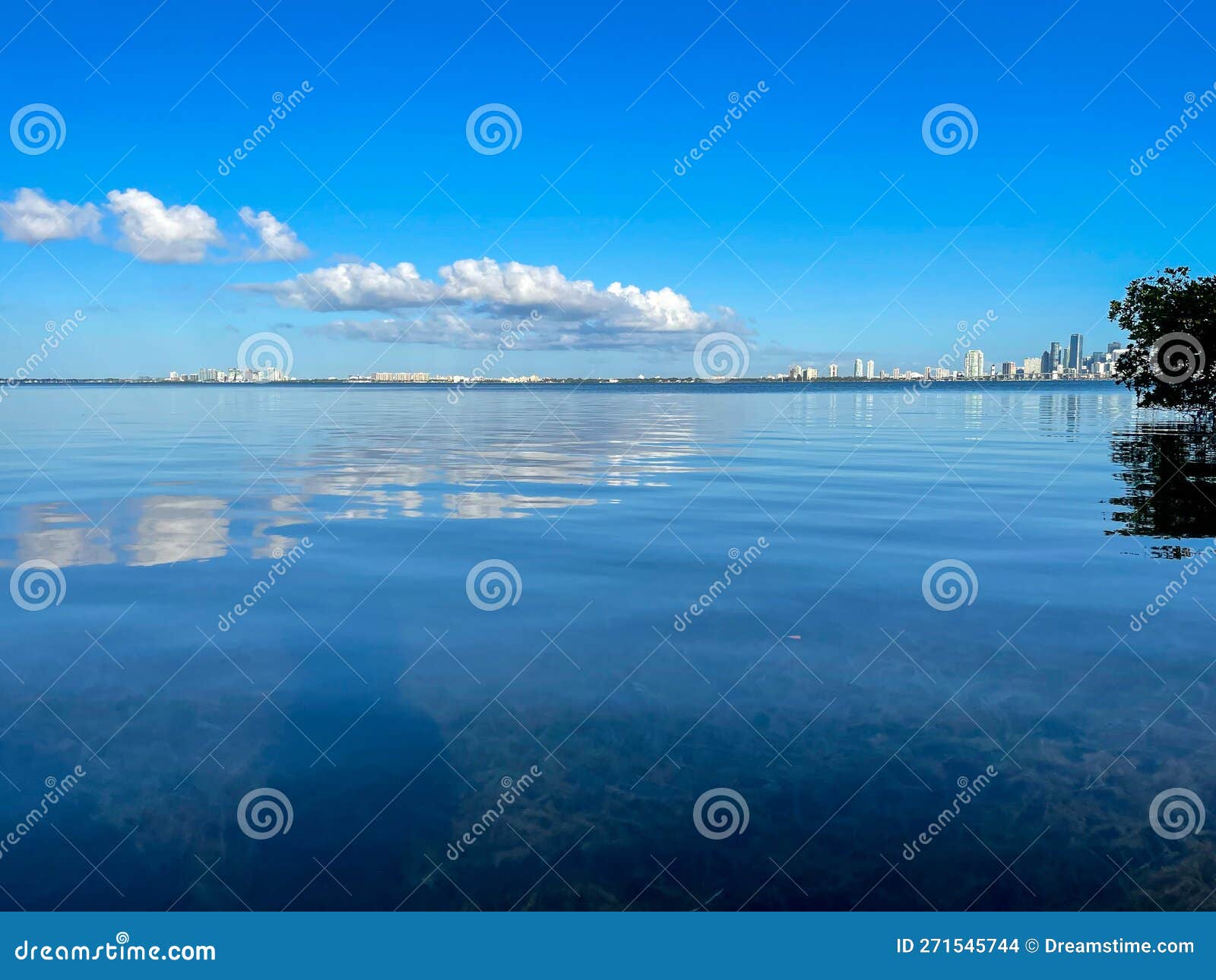 Clear Blue Water in Miami Florida Stock Photo - Image of landscape ...