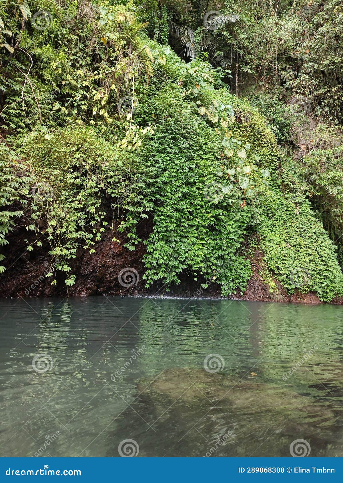 Clear Blue Water in the Waterfall Stream Stock Photo - Image of pond ...