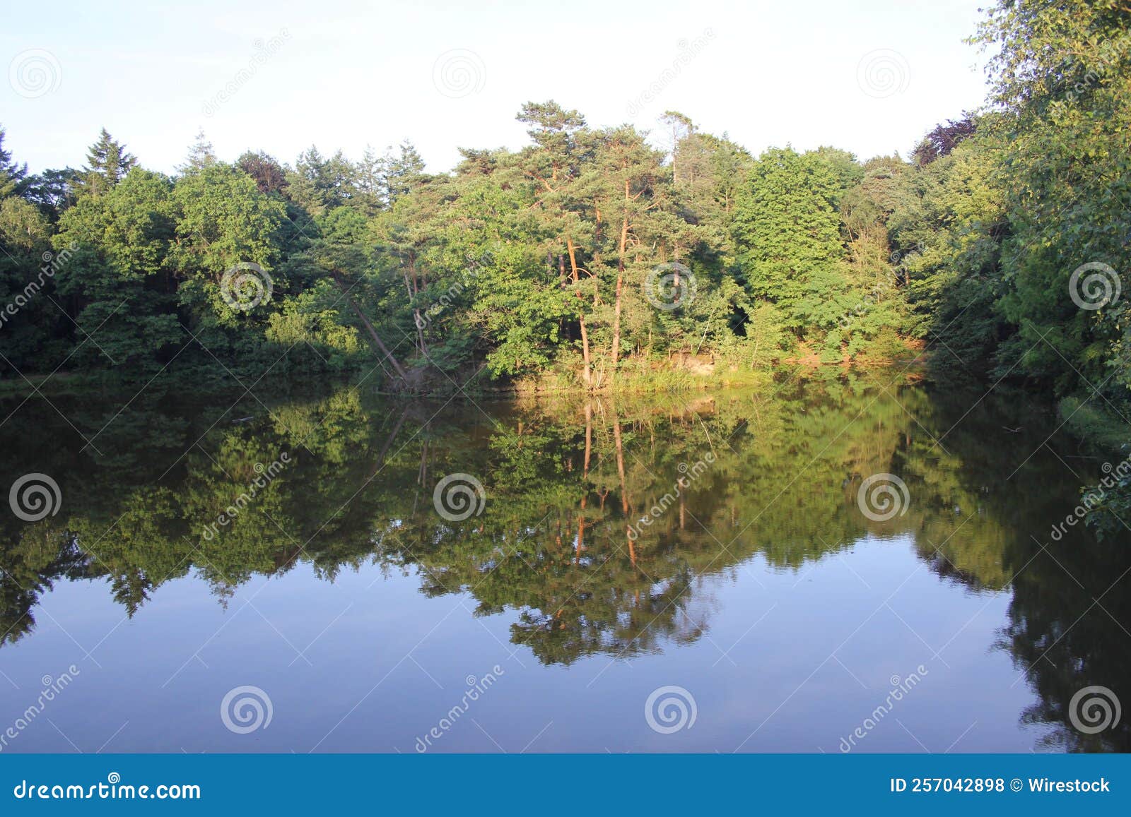 Clear Calm Lake with the Reflection of the Trees on the Water Stock ...