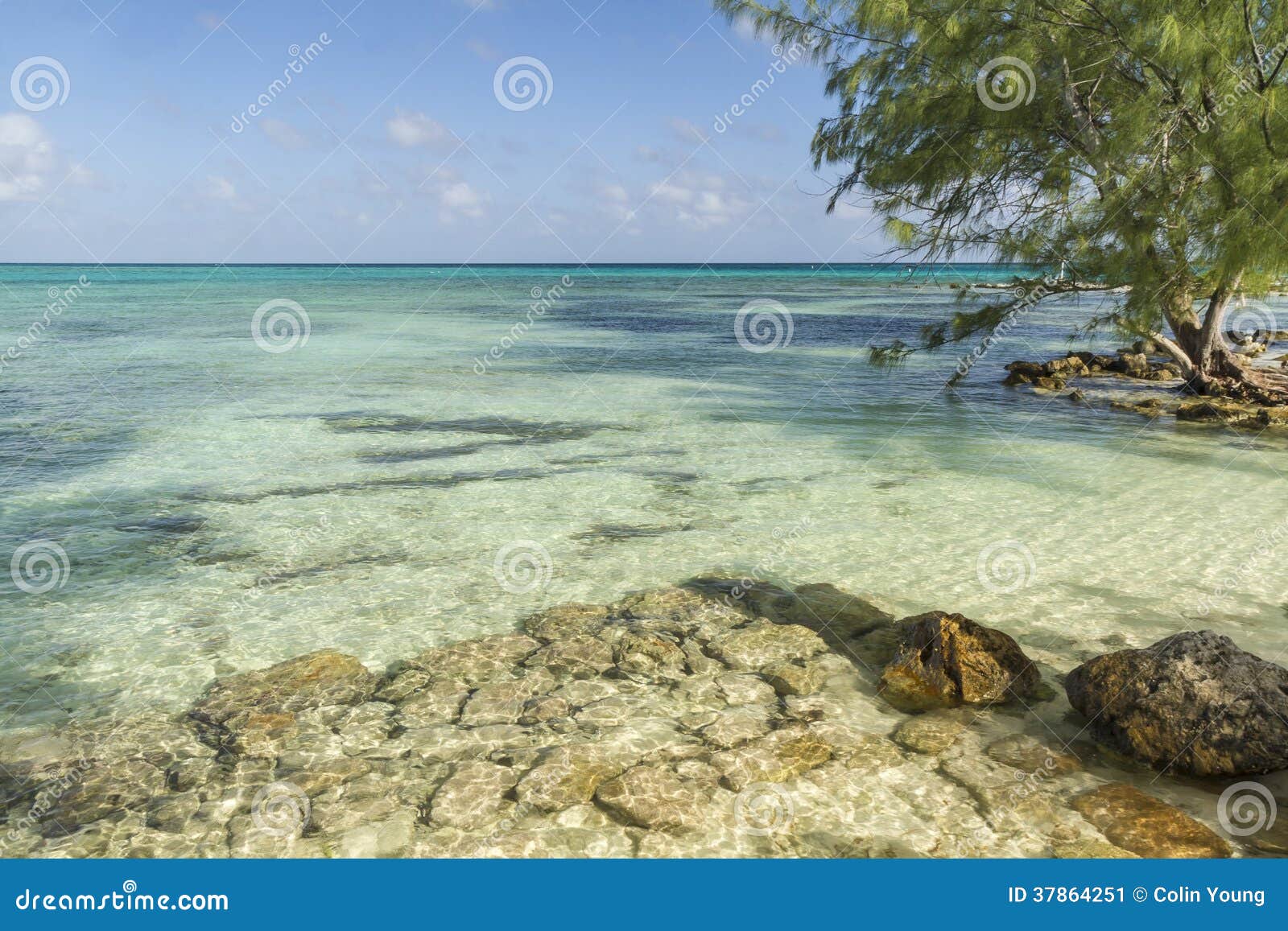 Clear Cayman Water stock image. Image of beach, caribbean - 37864251