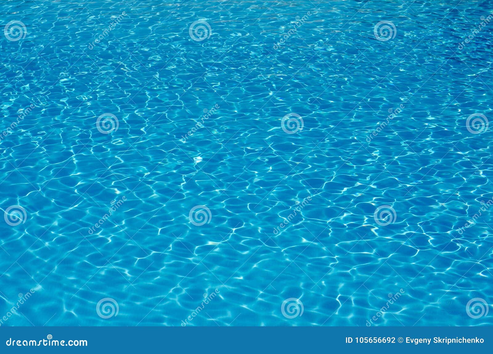 Clear Clear Water in the Pool Stock Photo - Image of motion, pool ...