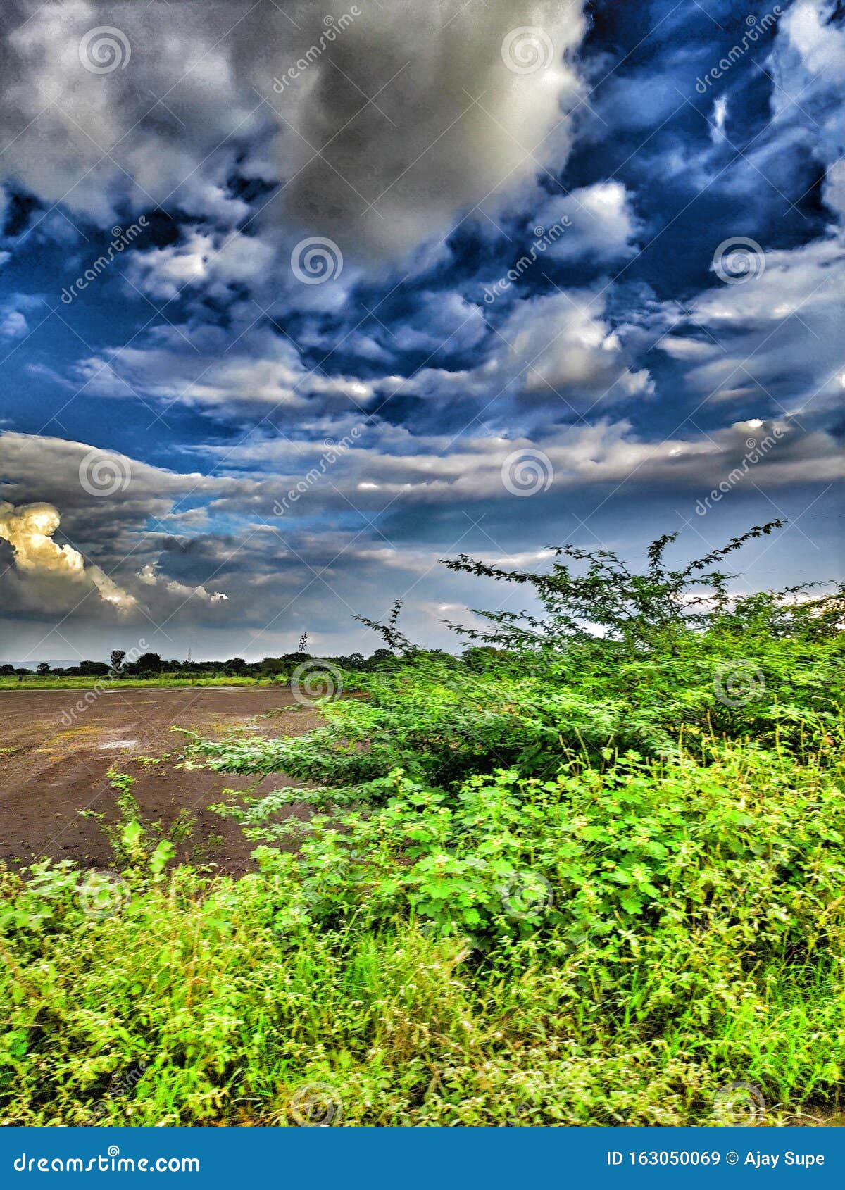 Clear clouds and greenery. stock image. Image of trees - 163050069