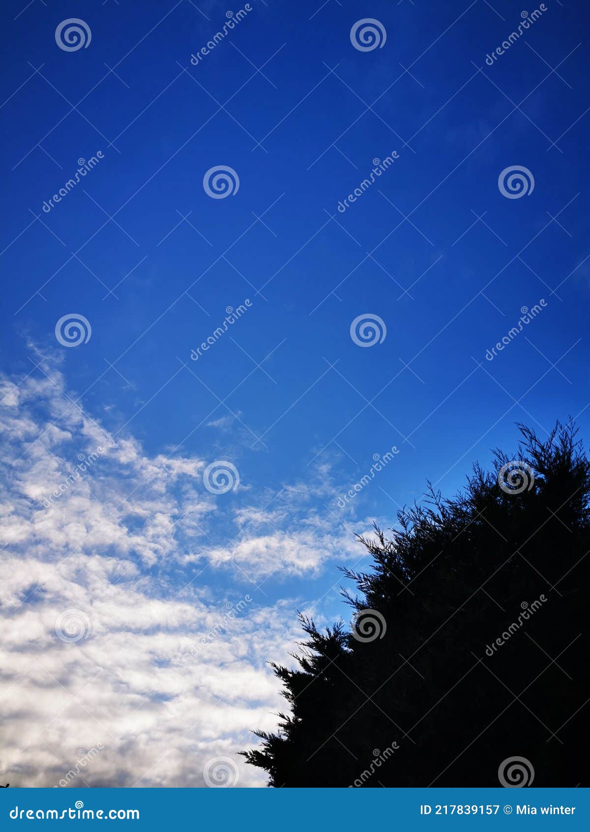 A Clear Cloudy Sky stock image. Image of cloud, tree - 217839157