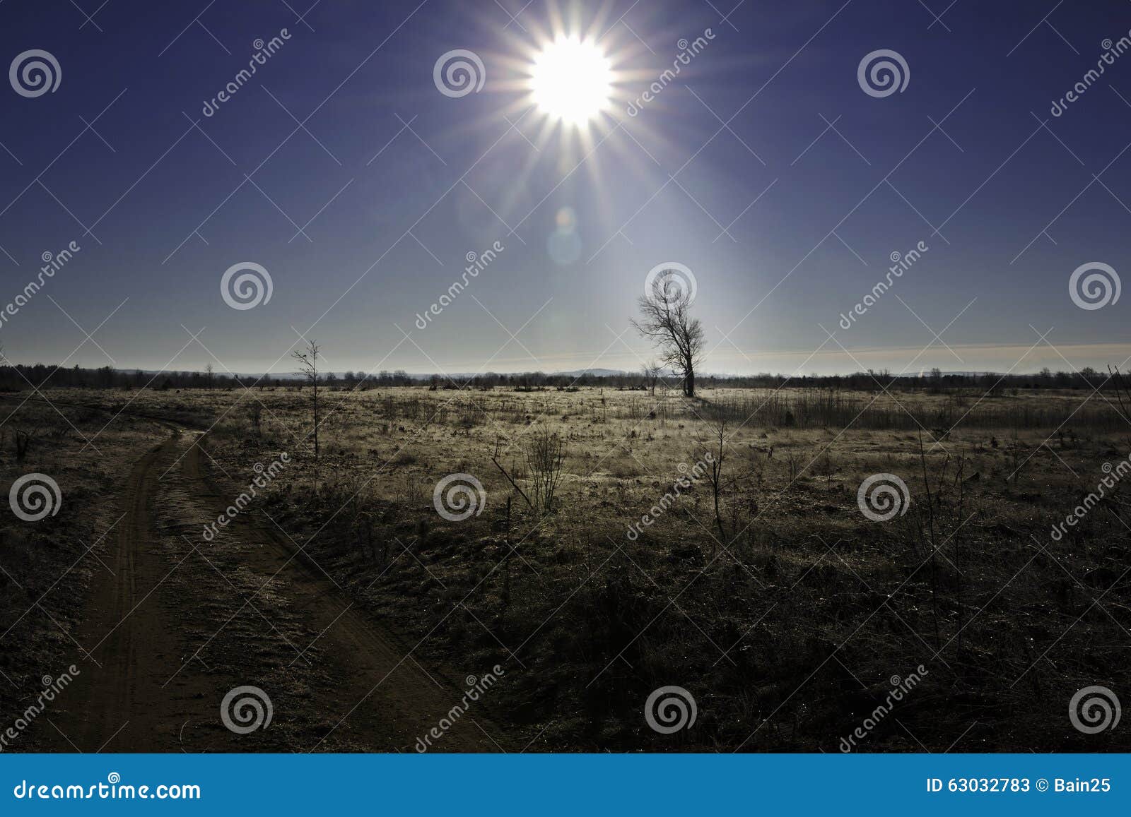 Clear cold morning stock image. Image of morning, winter - 63032783