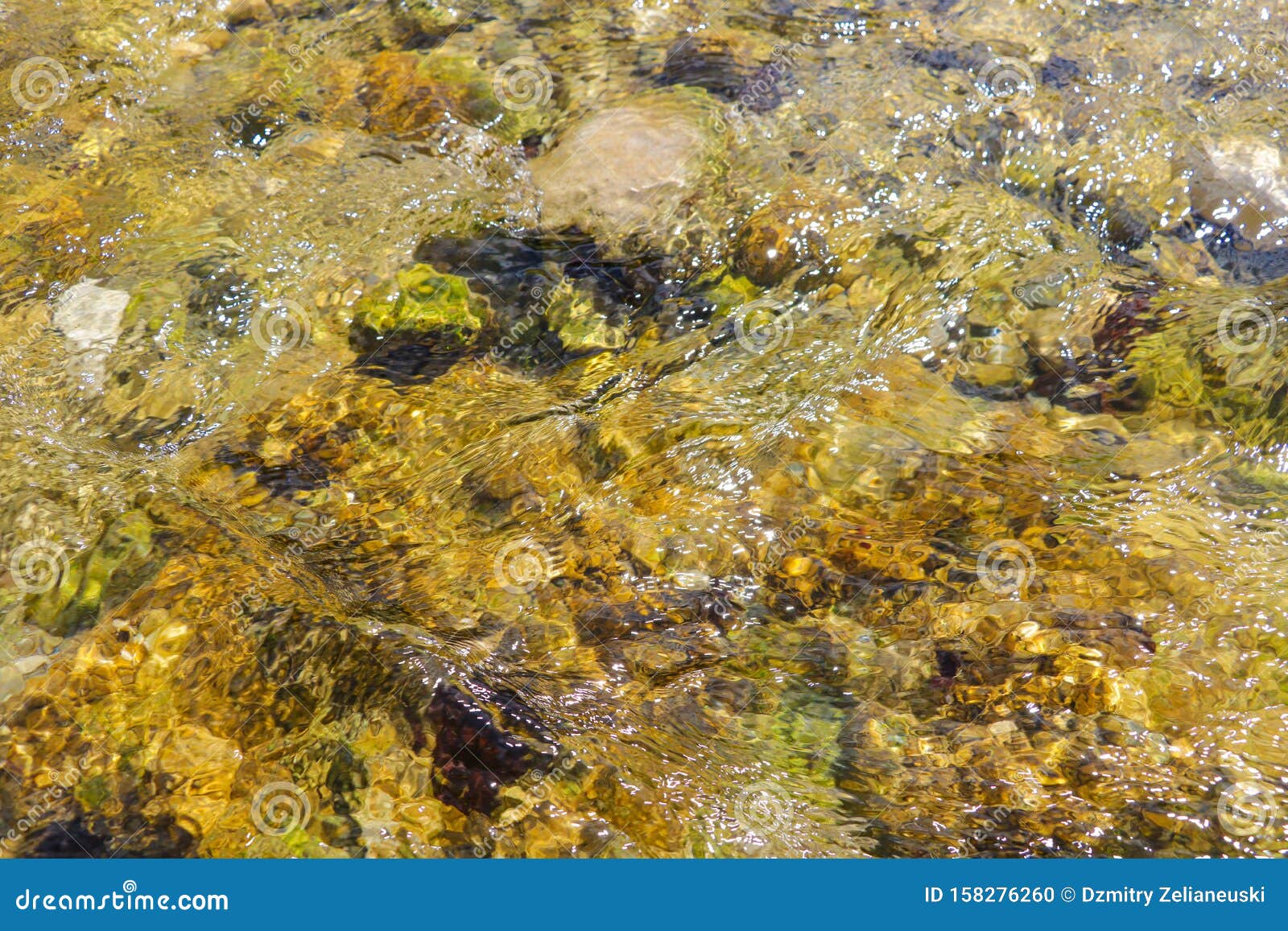 Clear Cold Mountain Water in a Stream, Background, Selective Focus ...