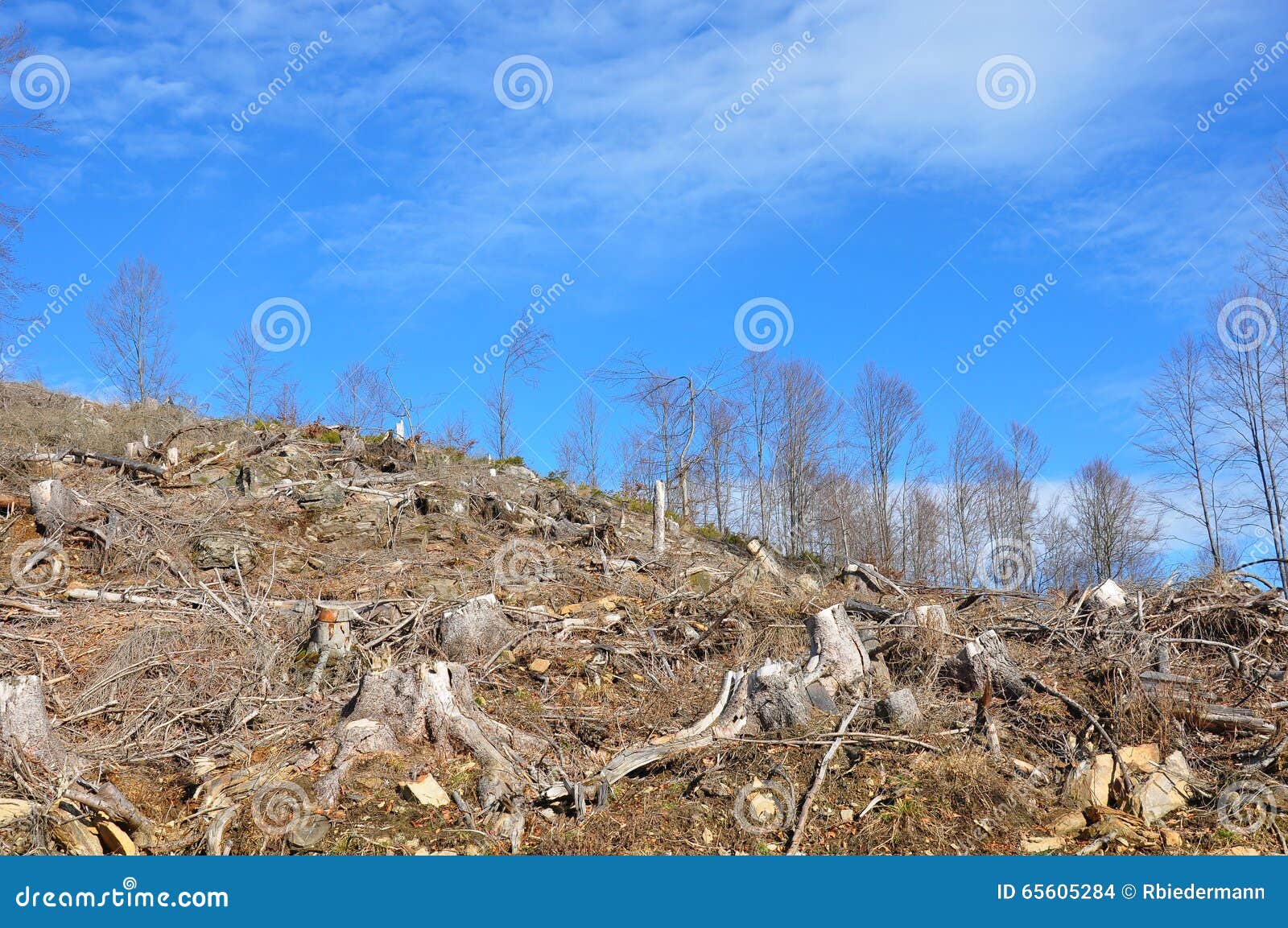 Clear cutting stock photo. Image of protection, blast - 65605284