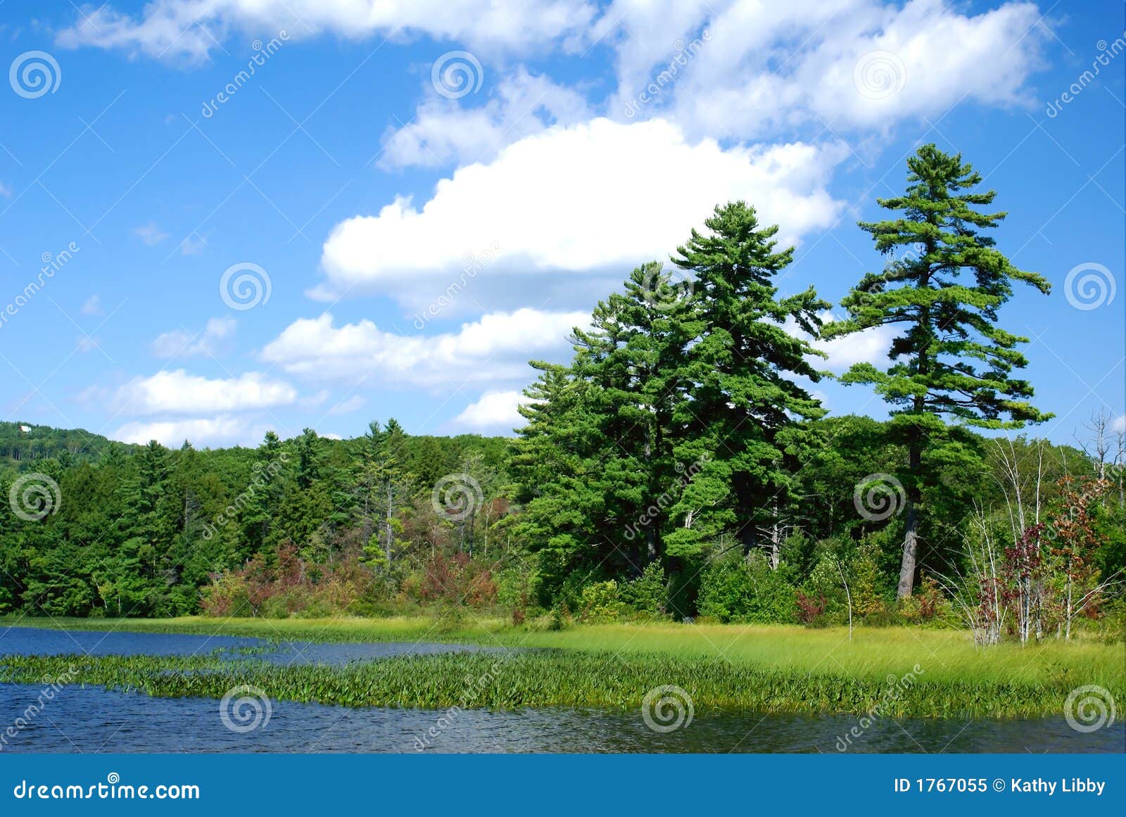 Clear Day at the Lake stock image. Image of pine, green - 1767055