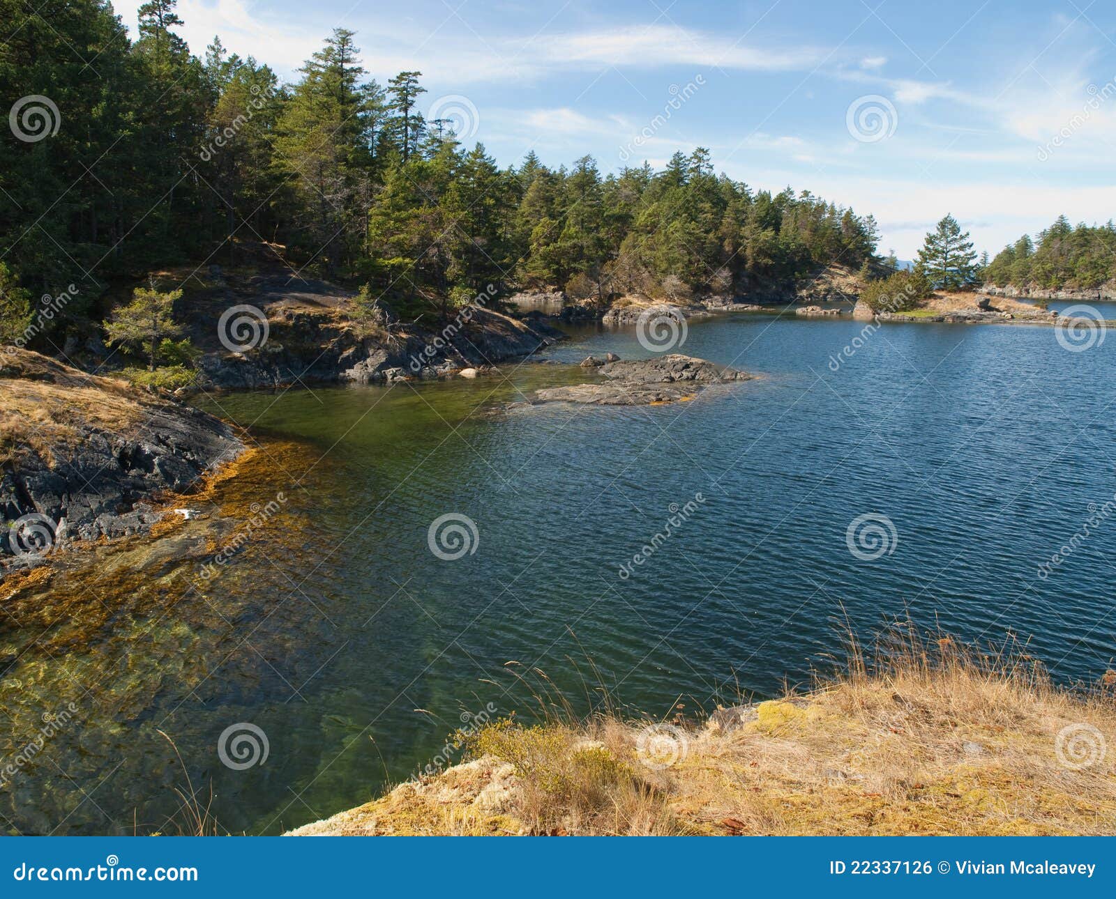 Clear, Deep Water of Remote Rocky Coast Stock Photo - Image of ...
