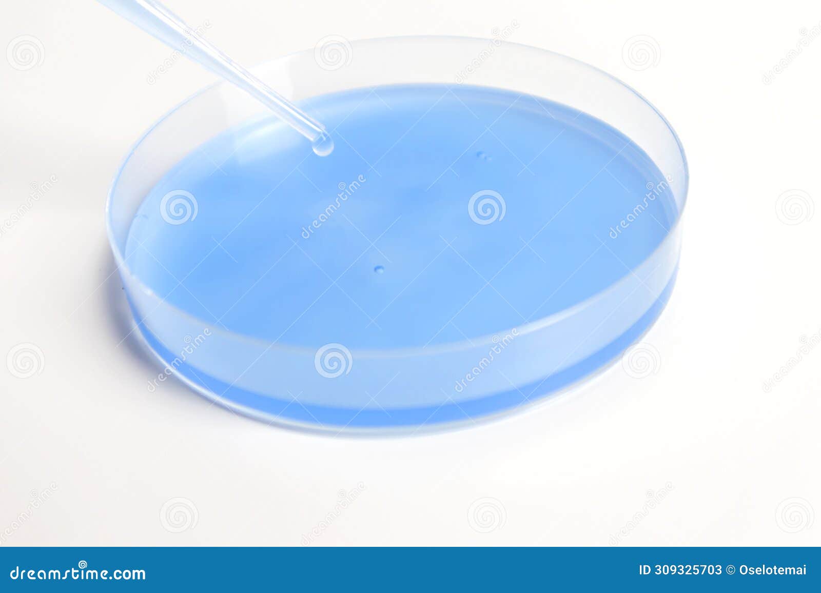 Clear Dishes are Used in Scientific and Medical Experiments Stock Image ...