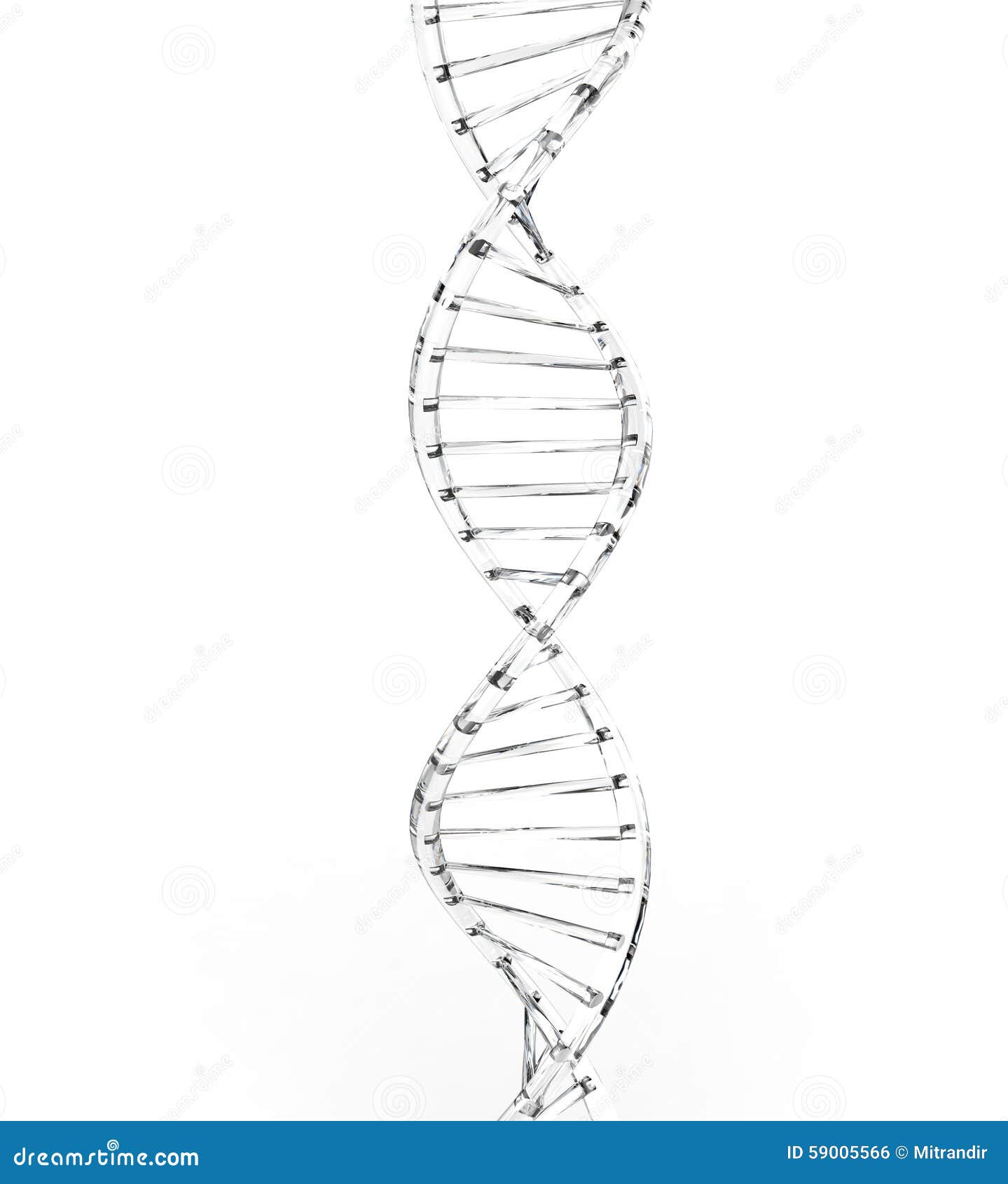 Clear DNA Strand stock illustration. Illustration of chemical - 59005566