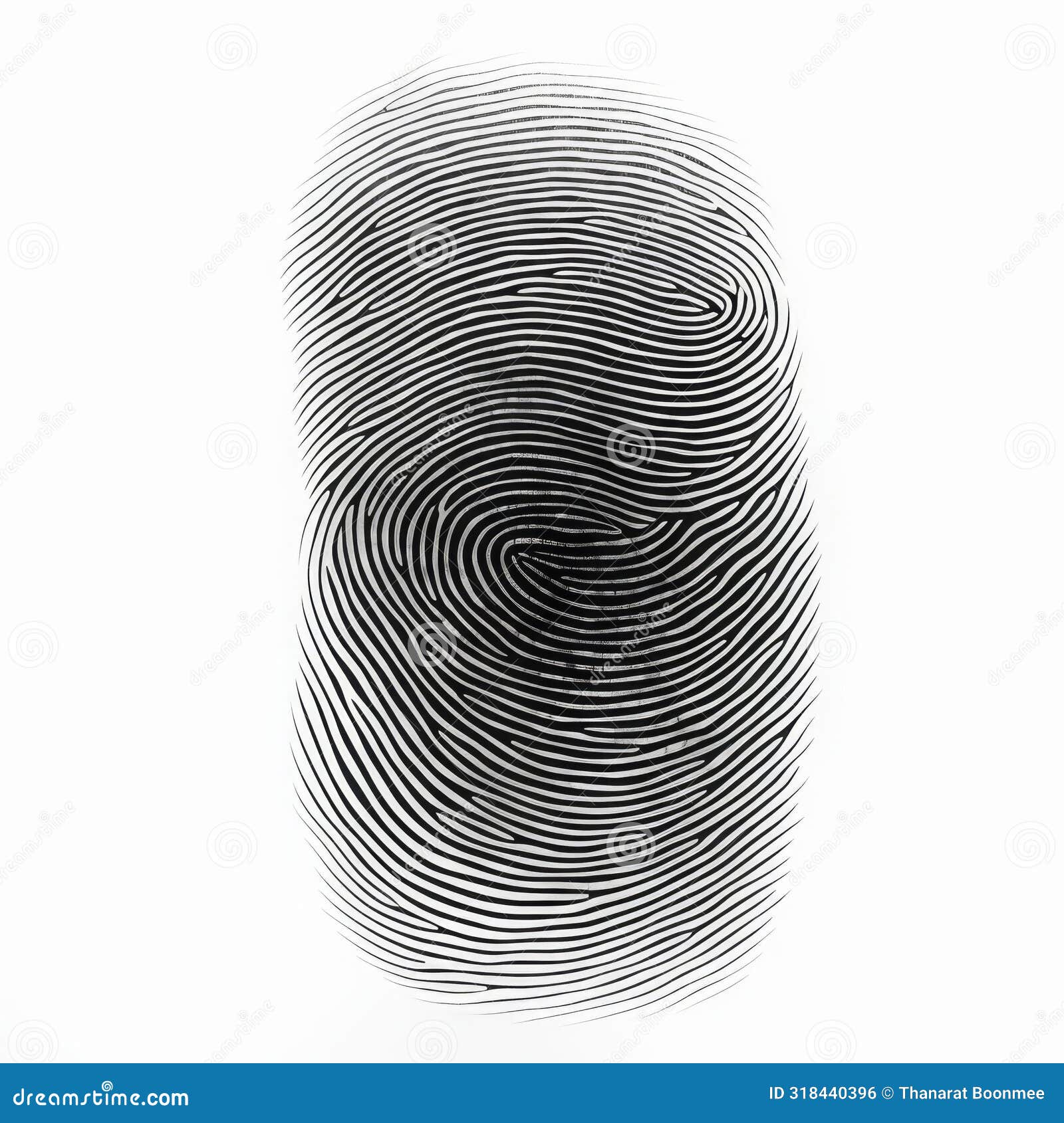 Clear Fingerprint Detail Captured on a Pristine White Background, Ai ...