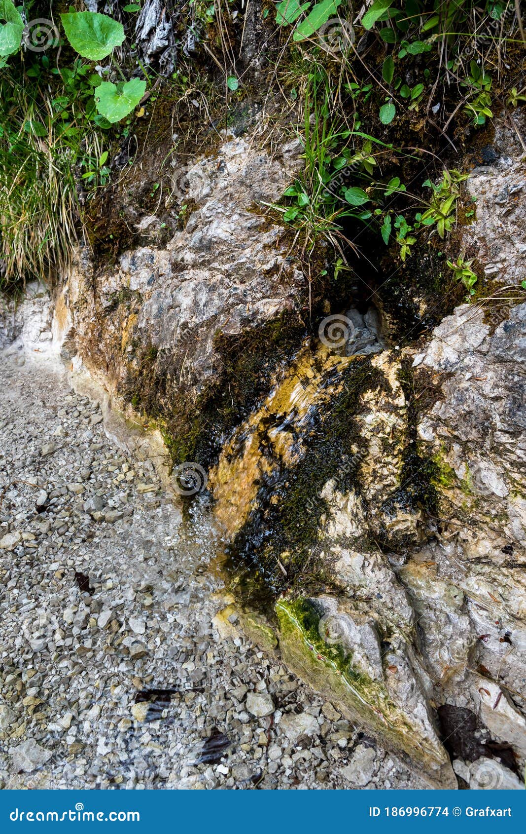 Clear and Fresh Water Flows from Mountain Spring into River Stock Photo ...