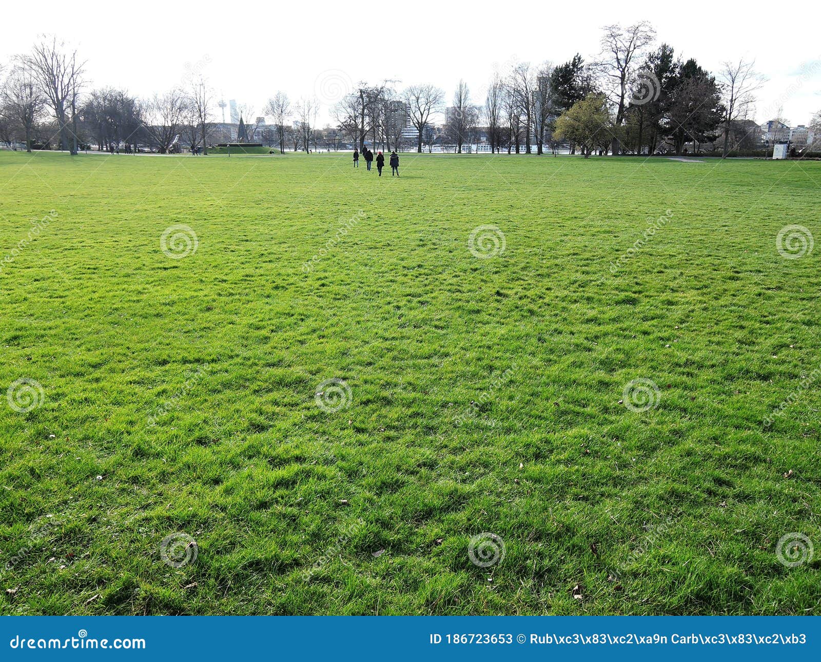 Clear Grass Field in a Park Outdoors Stock Image - Image of meadow ...