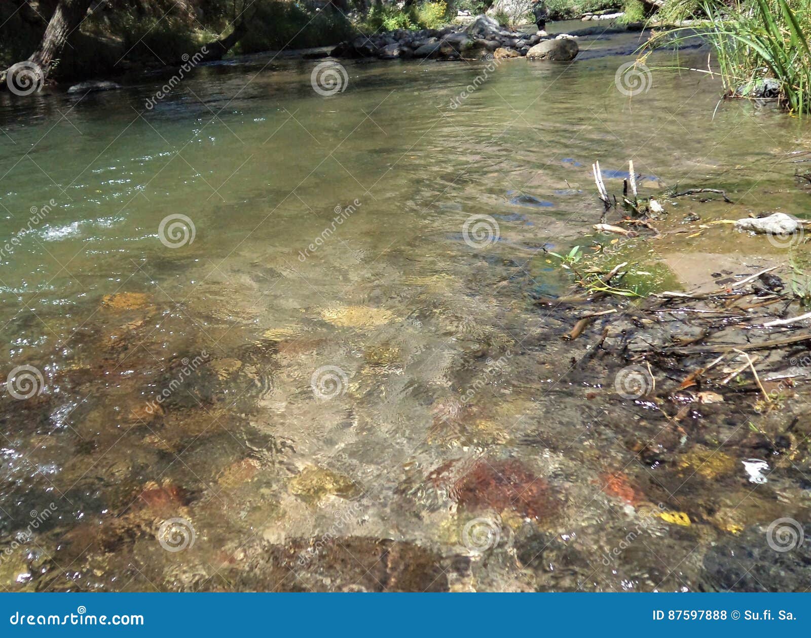 Clear Green River, Natural View Stock Photo - Image of clear ...