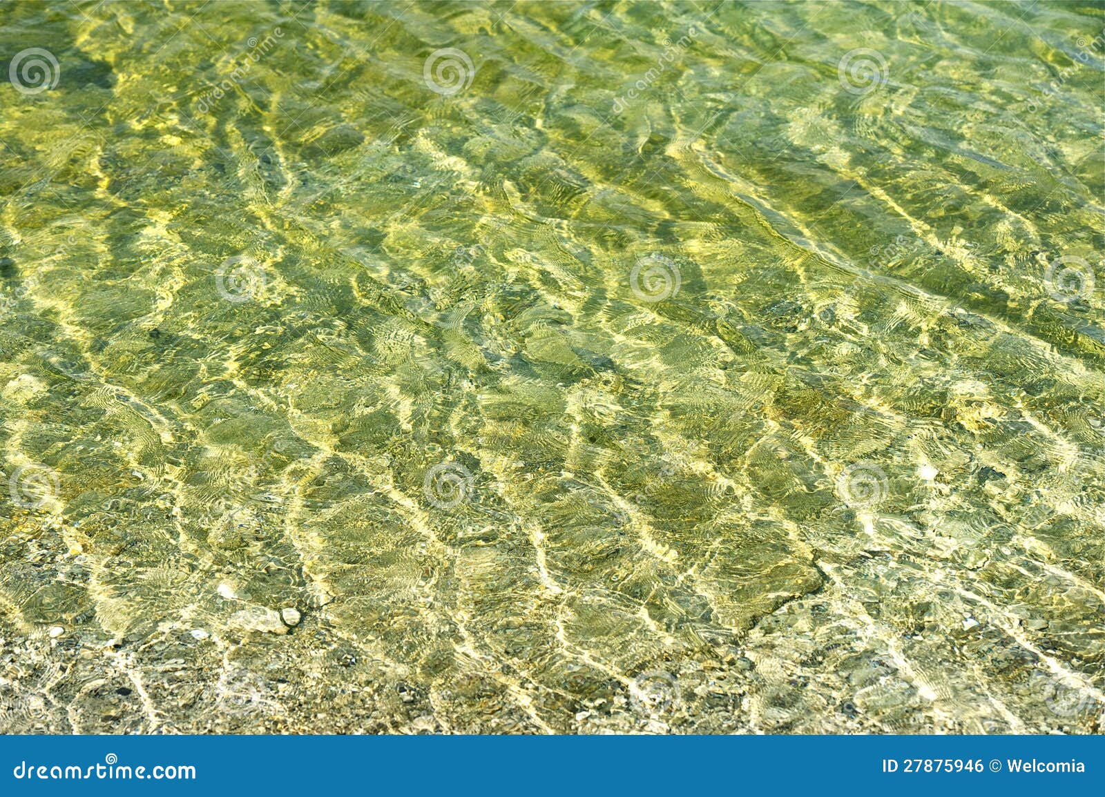 Clear Green Water stock photo. Image of deep, green, swim - 27875946