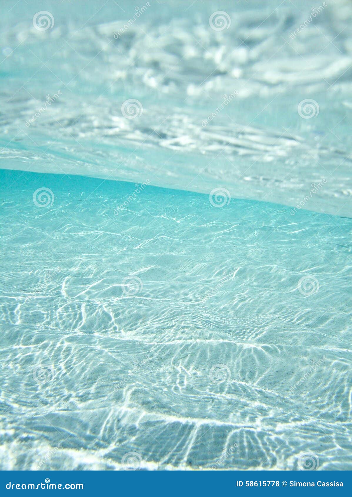 Clear Indian Ocean Underwater Stock Photo - Image of wave, indian: 58615778
