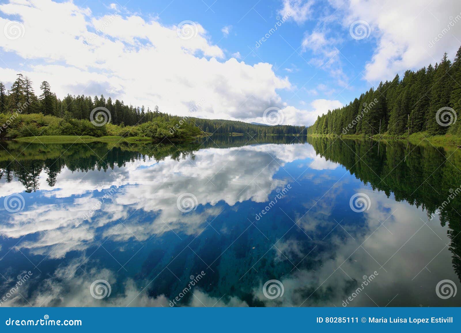 Clear Lake, Oregon stock image. Image of reflection, lake - 80285111